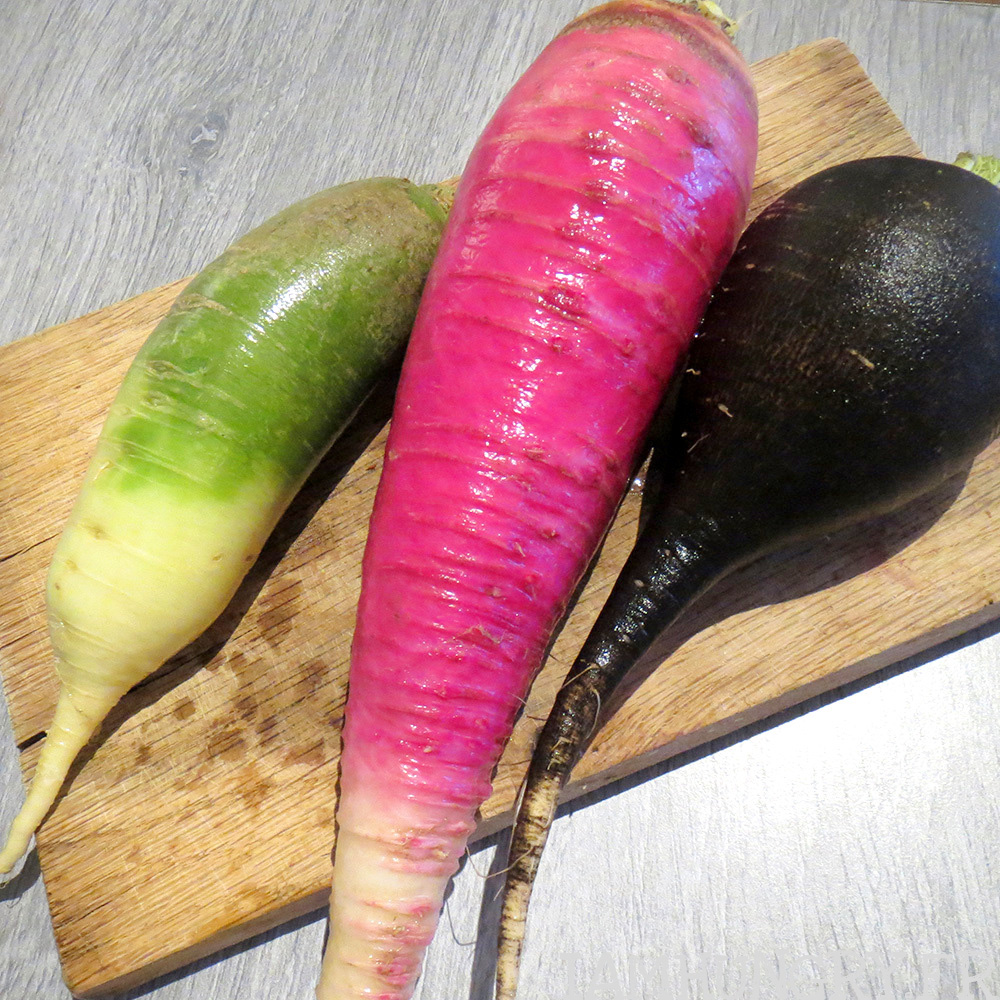 Salade de radis multicolores- IAMHUNGRY